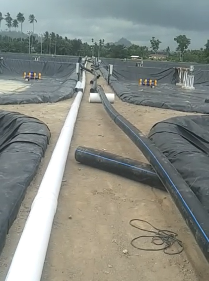 SHRIMP FARM – SHUANGLIN PIPE