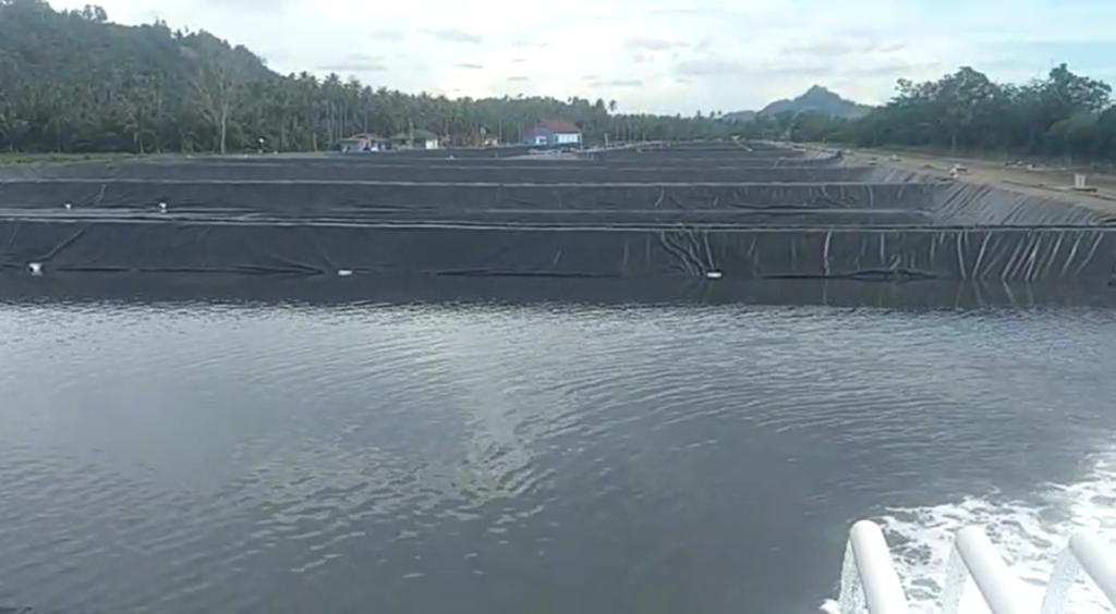 SHRIMP FARM – SHUANGLIN PIPE
