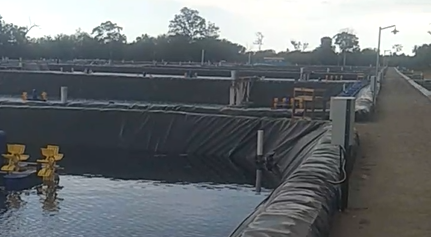 SHRIMP FARM – SHUANGLIN PIPE